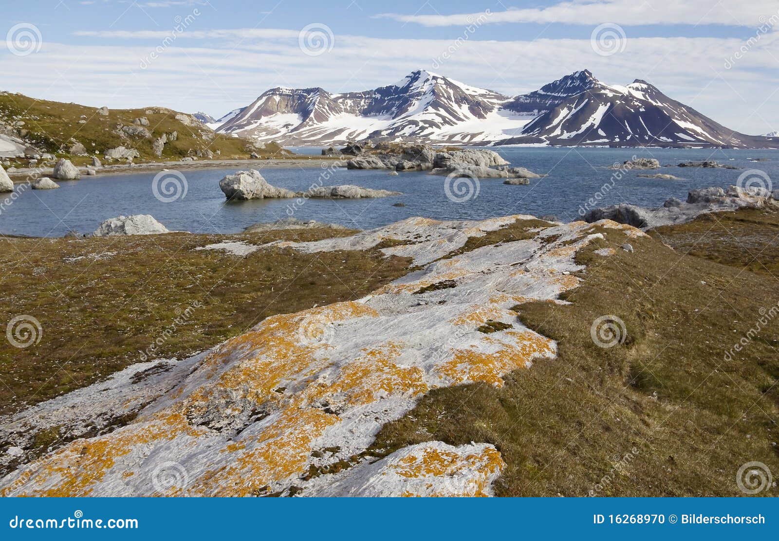 Hornsund gnalodden no2323 foto de stock. Imagem de graus - 16268970