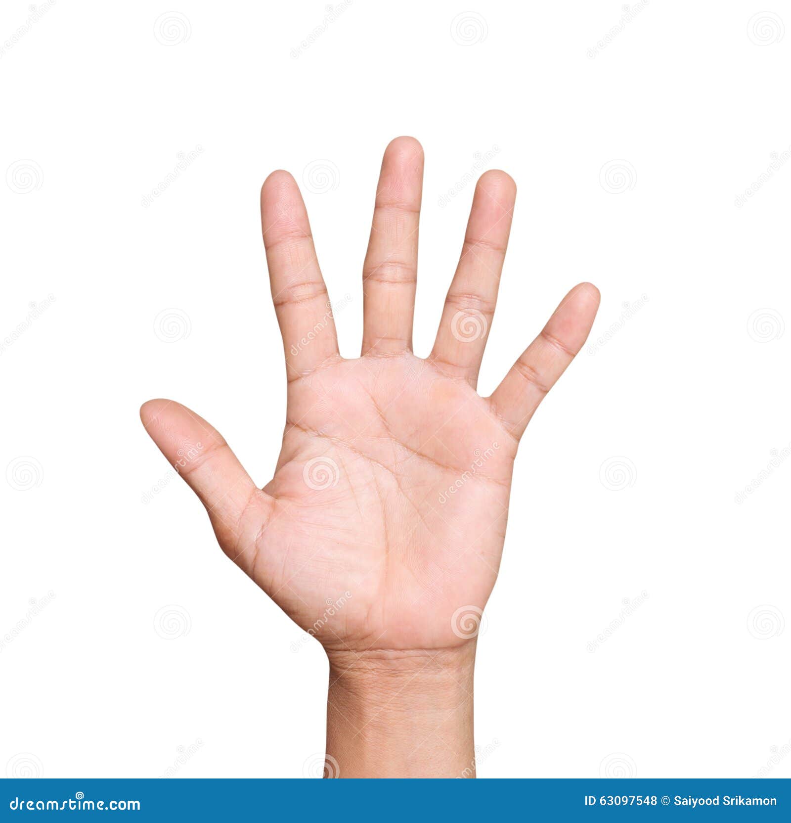 Horoscope stock photo. Image of chart, concept, empty - 63097548