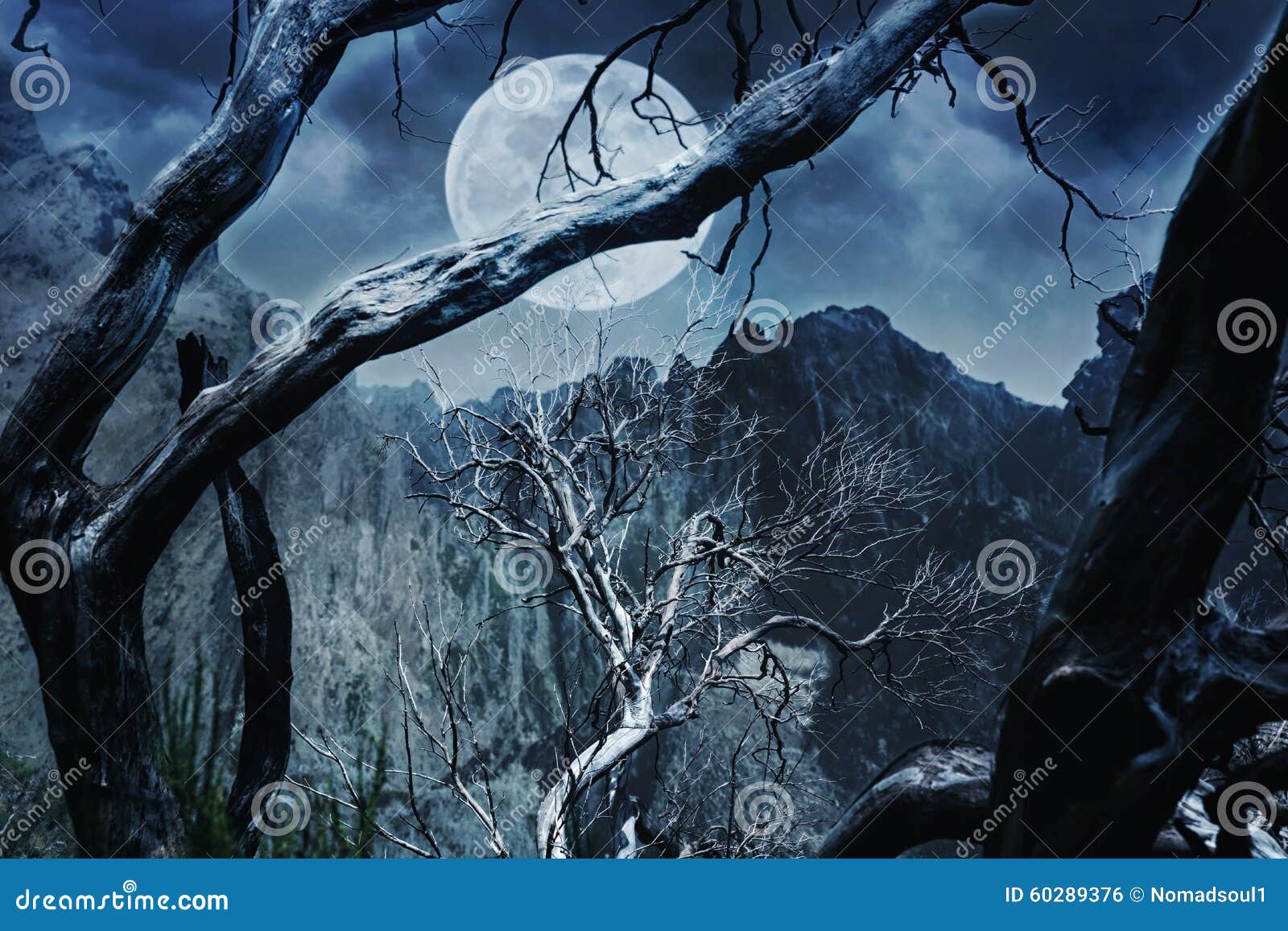 Horrible nature stock photo. Image of monster, evil, light - 60289376