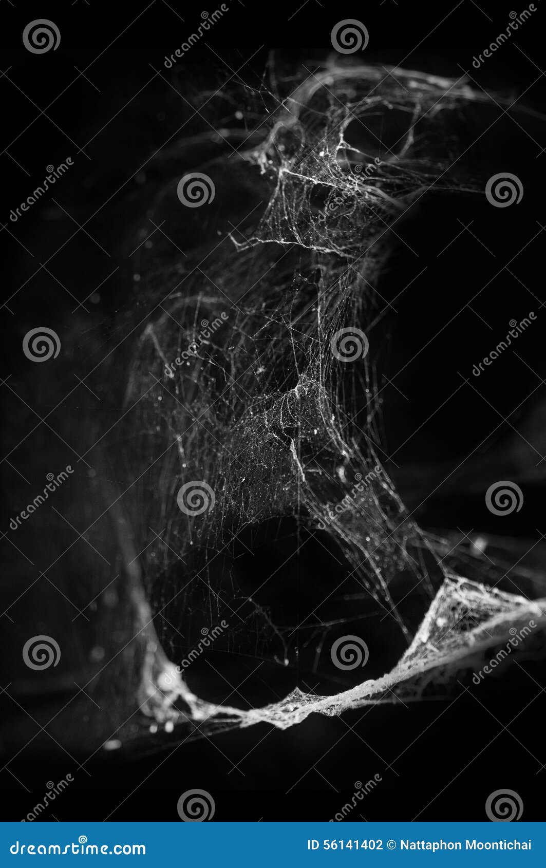 Horror Cobweb or Spider Web in Ancient Thai House on Bl Stock Photo ...