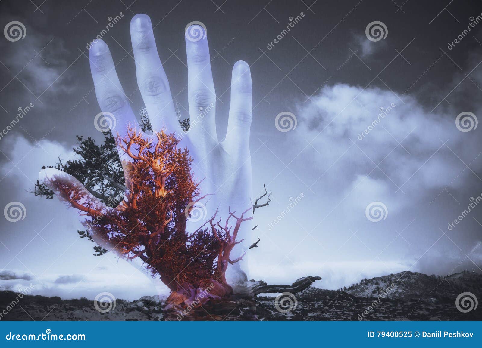A Horror Concept Of Spooky Ghostly Hands Coming Out Of The Base Of A ...