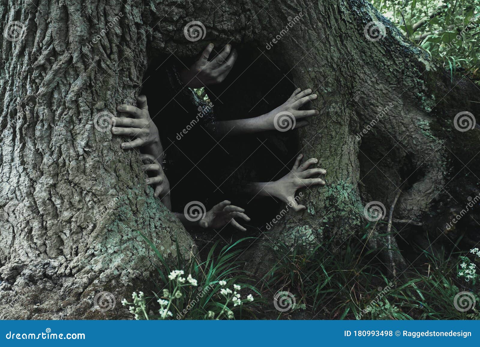 A Horror Concept of Spooky Ghostly Hands Coming Out of the Base of a ...