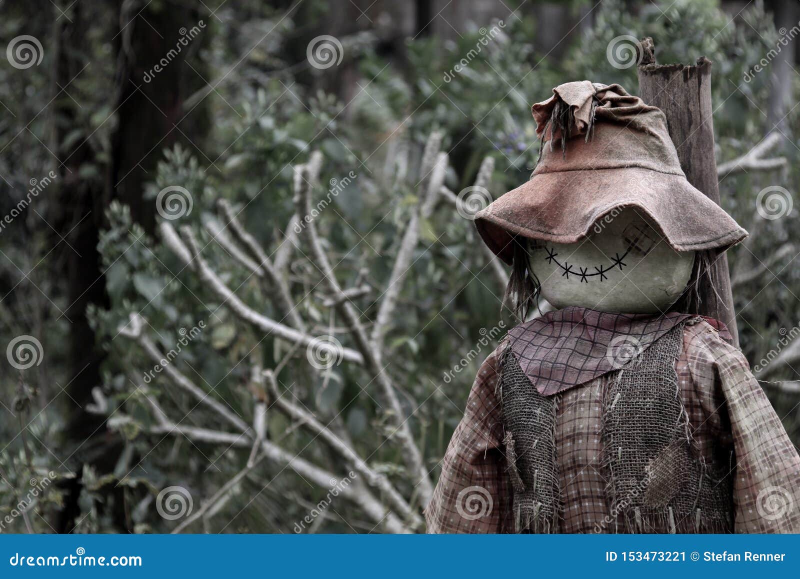Scarecrow stock image. Image of primal, dreadful, firmly - 153473221