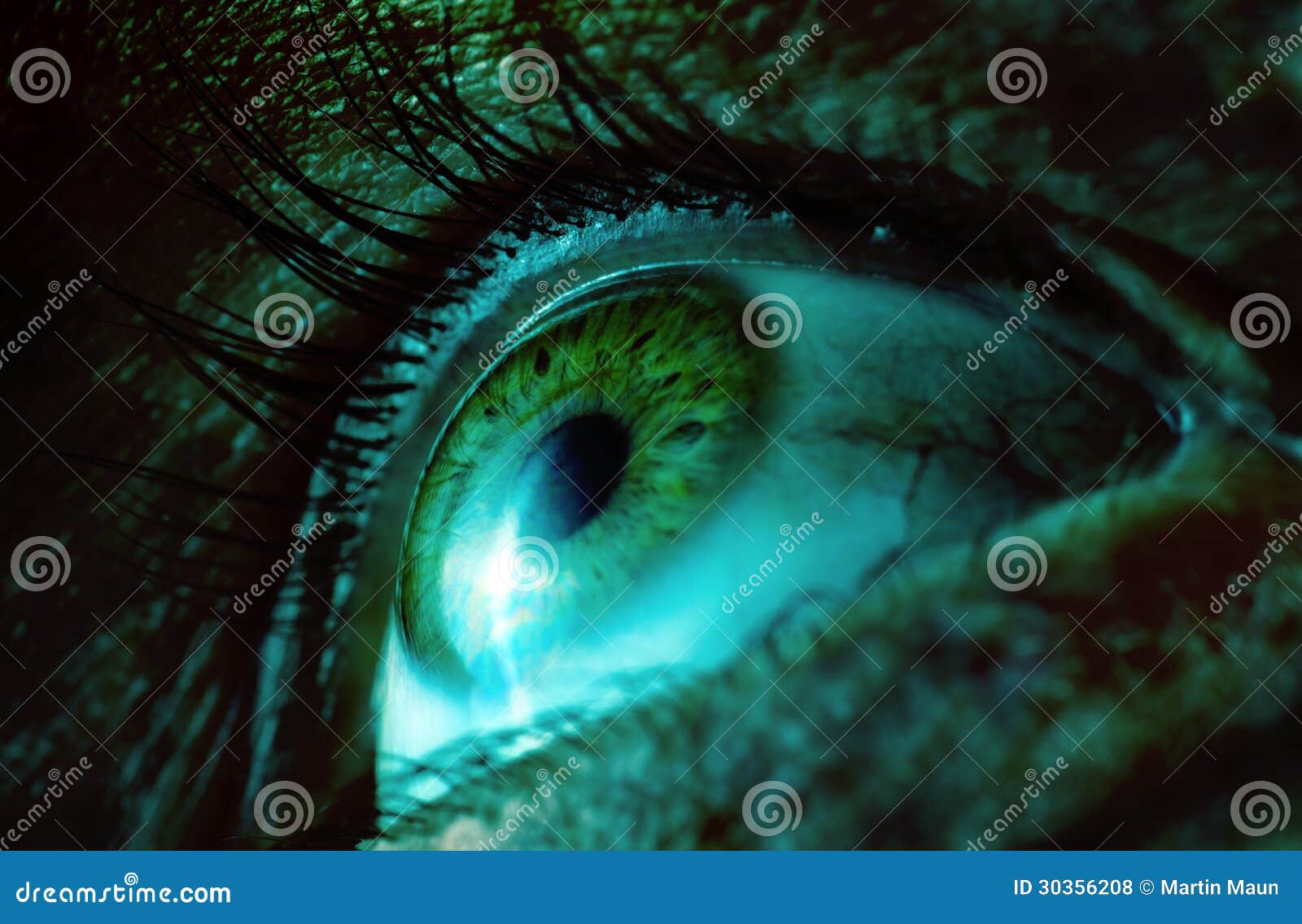 Horror Eye Wallpaper Hd