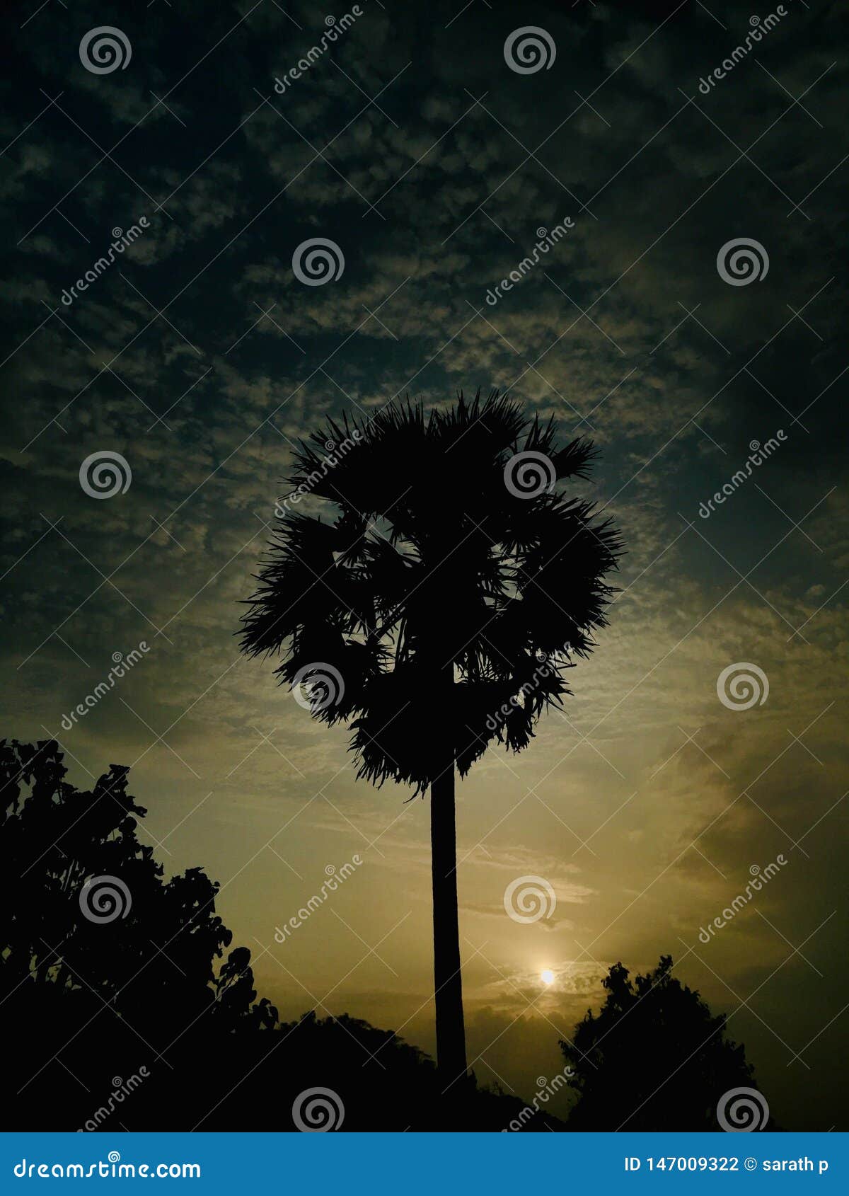 Evening sun stock photo. Image of evening, horror, feel - 147009322