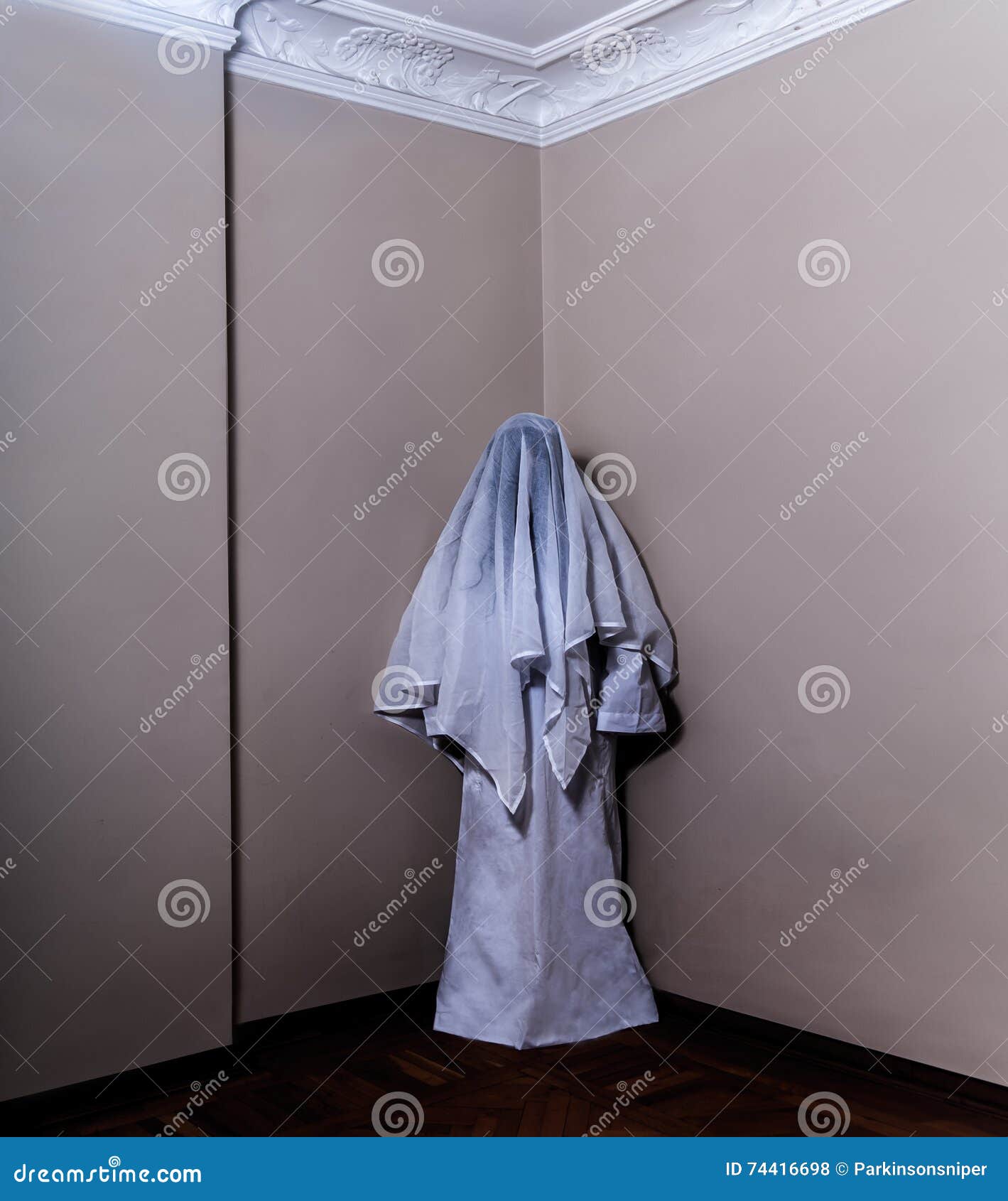 Horror Ghost stock photo. Image of ghostly, horrorful - 74416698