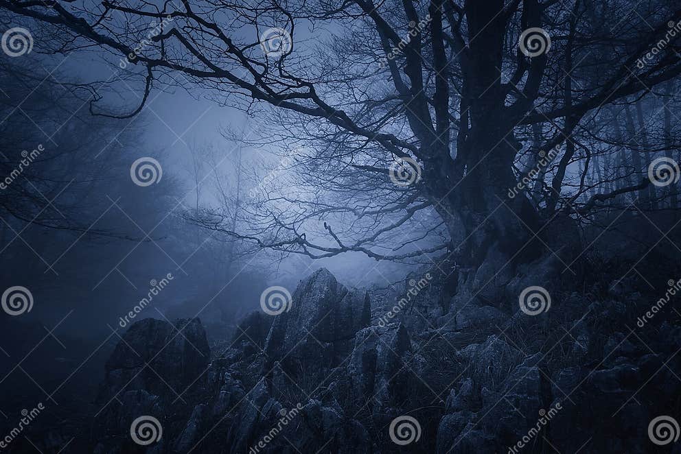 Horror Landscape of Dark Forest with Scary Tree Stock Photo - Image of ...