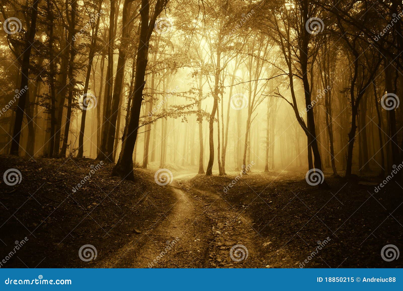 Horror Scene with a Road through Golden Forest Stock Image - Image of ...