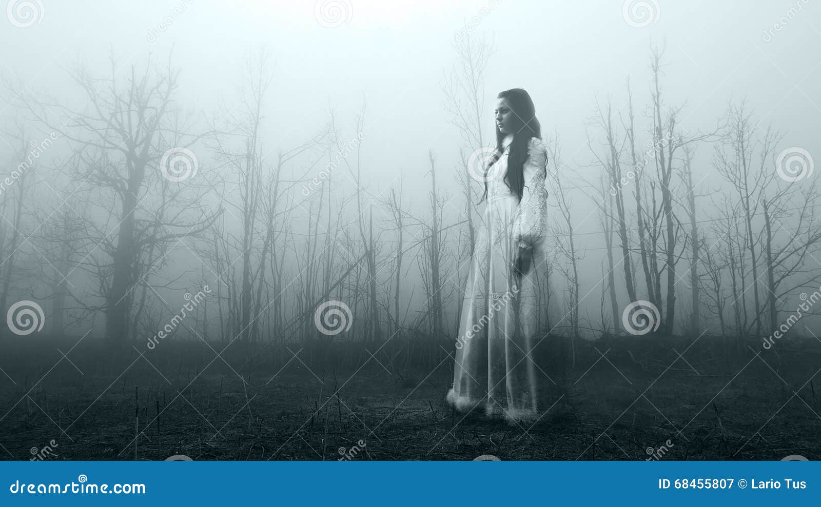 Scary Horror Tree In Dark Foggy Forest. Horror, Mysterious, Fantasy ...