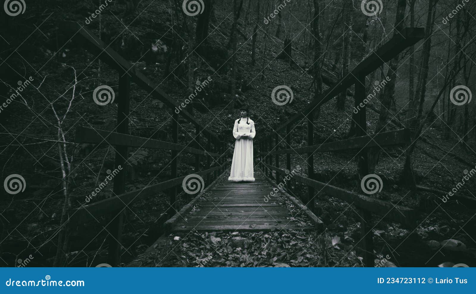 Horror Scene Of A Scary Woman Stock Photography | CartoonDealer.com ...