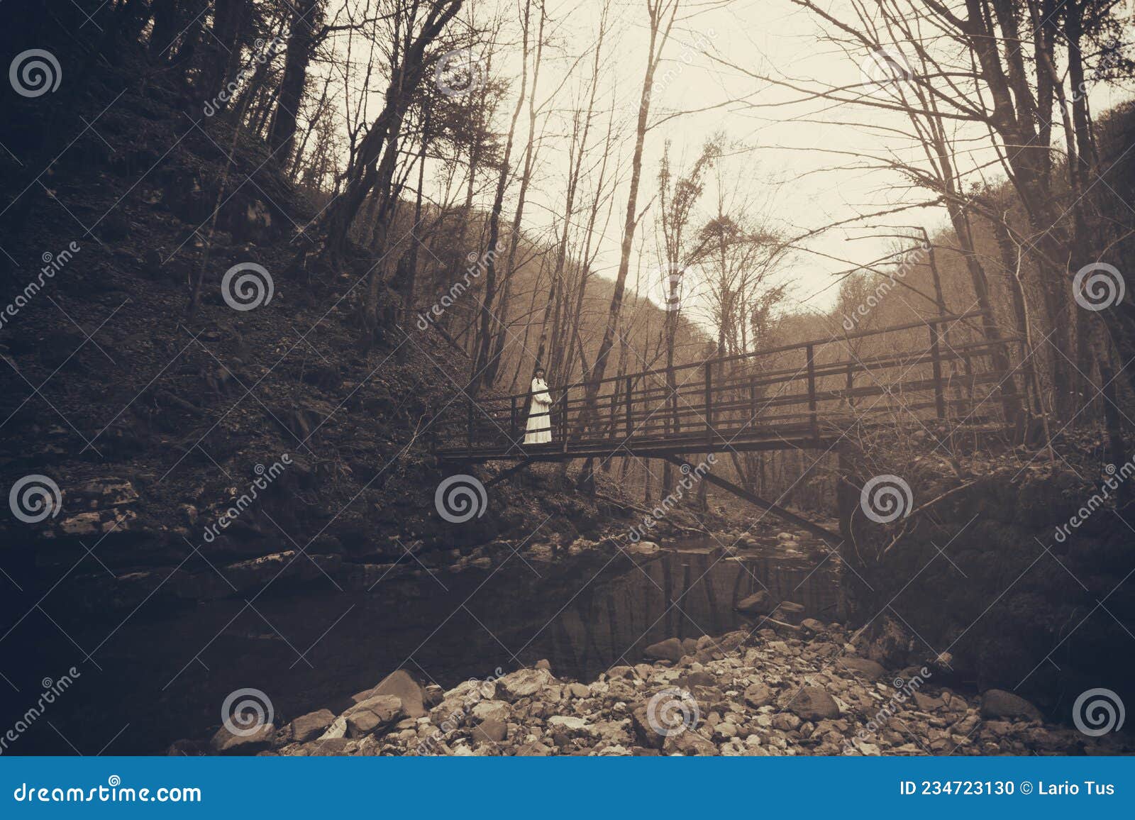Horror Scene of Woman in White Dress at the Old Wooden Bridge Stock ...