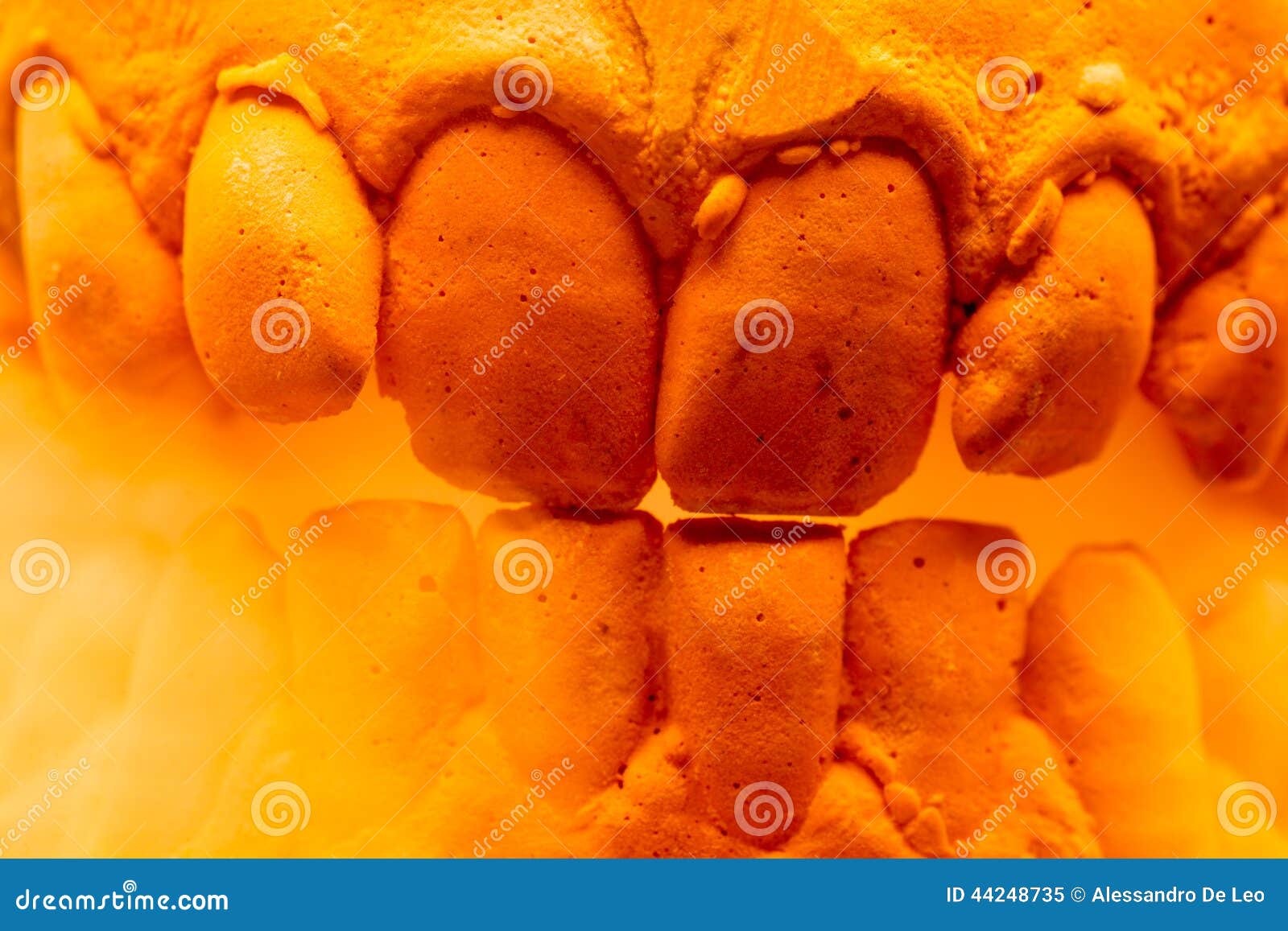 Horror Teeth stock image. Image of orange, horror, yellow - 44248735