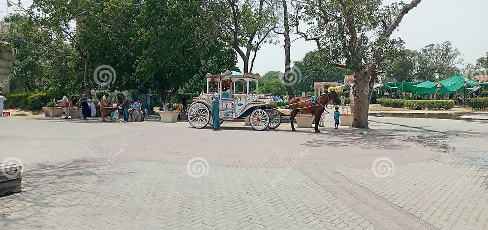 Hors Bagi is waiting editorial photo. Image of vehicle - 223095466