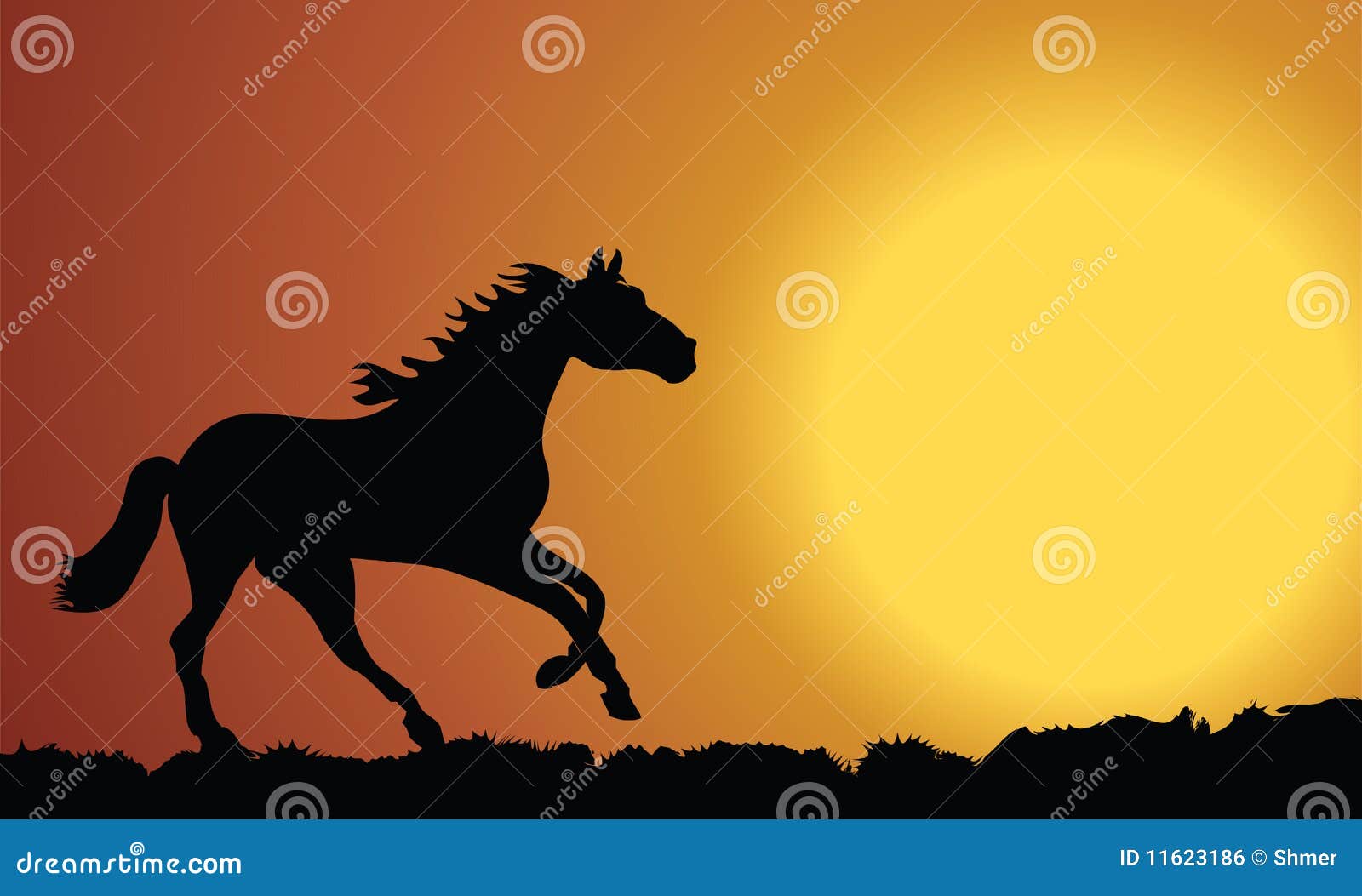 Dawn Horse Stock Photography | CartoonDealer.com #158366558