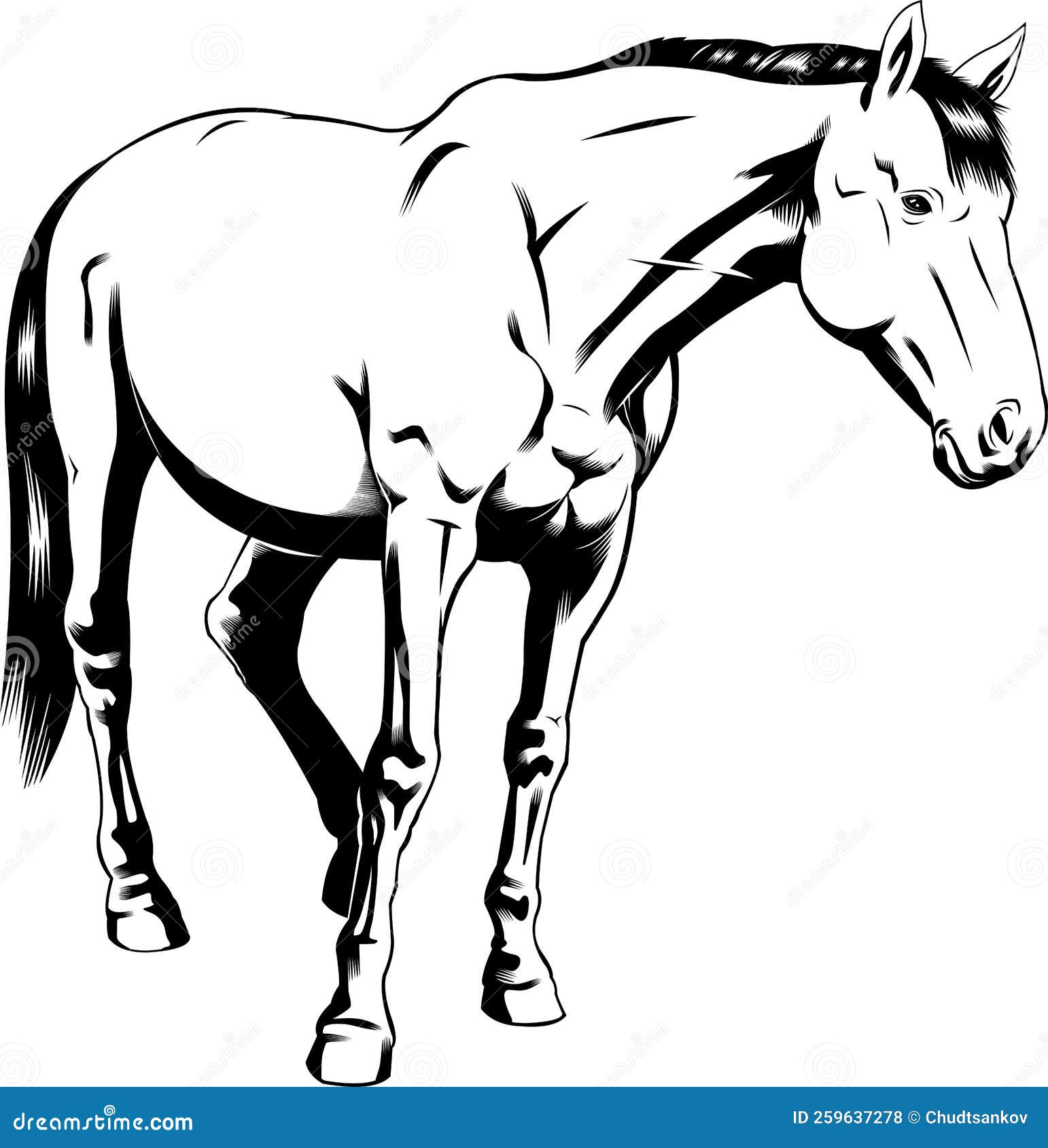 Outlined Realistic Cartoon Horse Silhouette Stands Vector Illustration ...