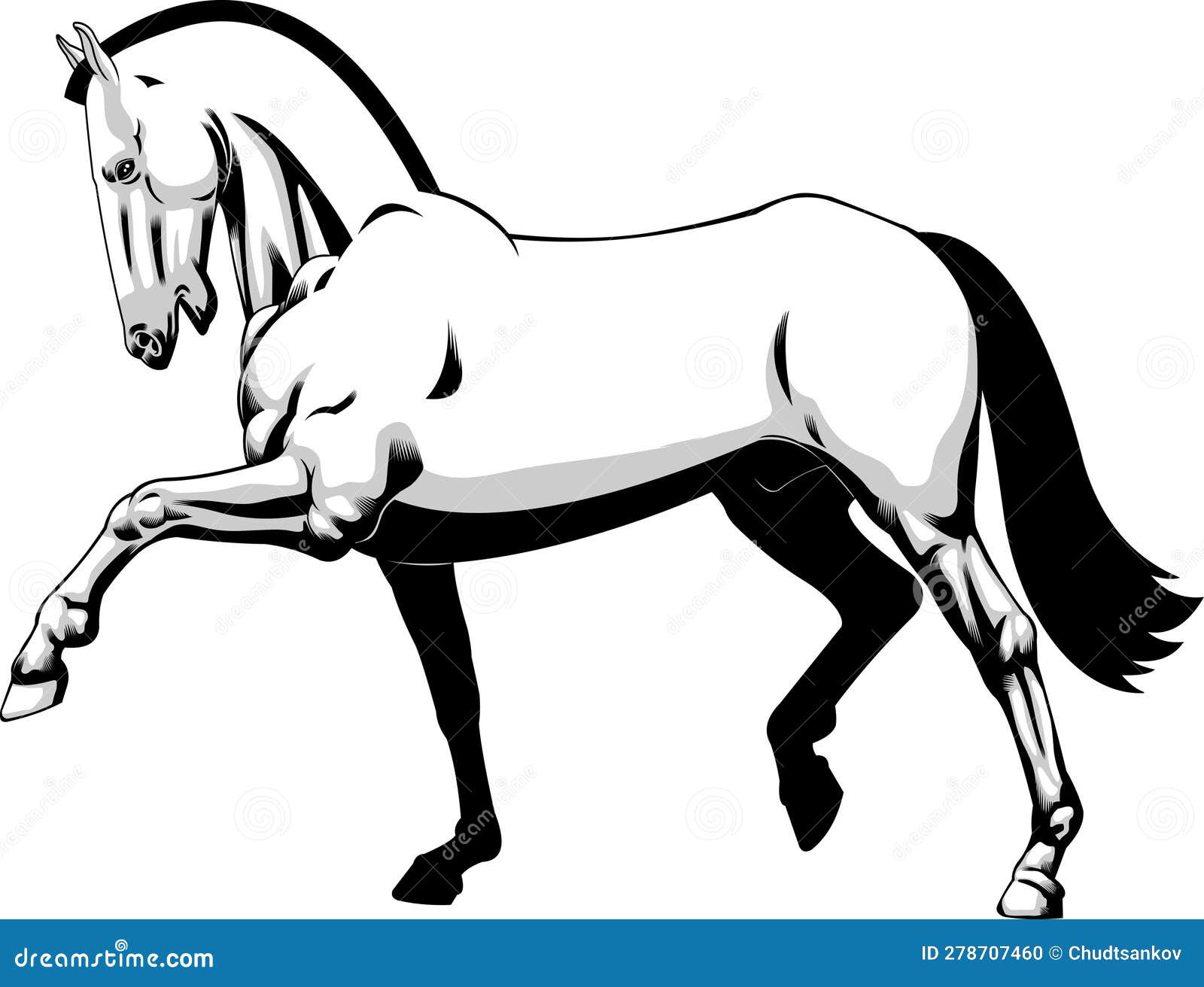 Horse Graphic Freehand Drawing (black And White) Cartoon Vector ...