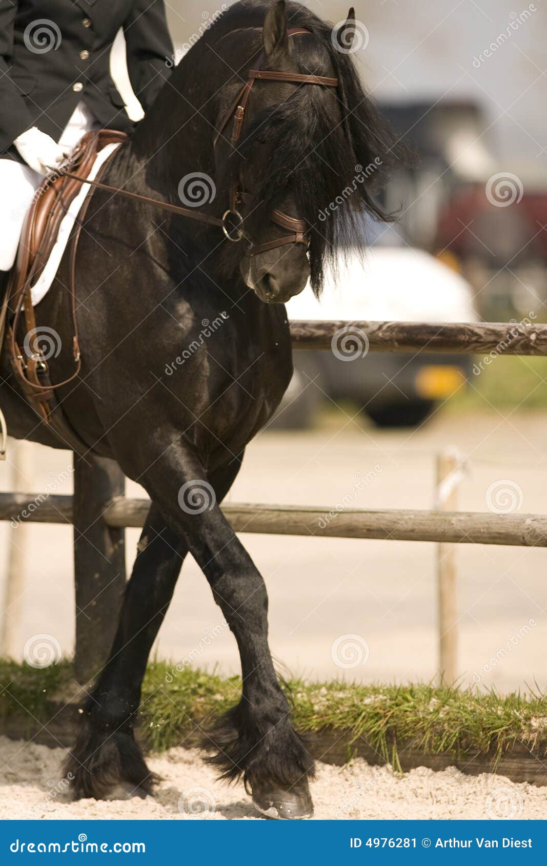 158 Lope Horse Stock Photos - Free & Royalty-Free Stock Photos from ...