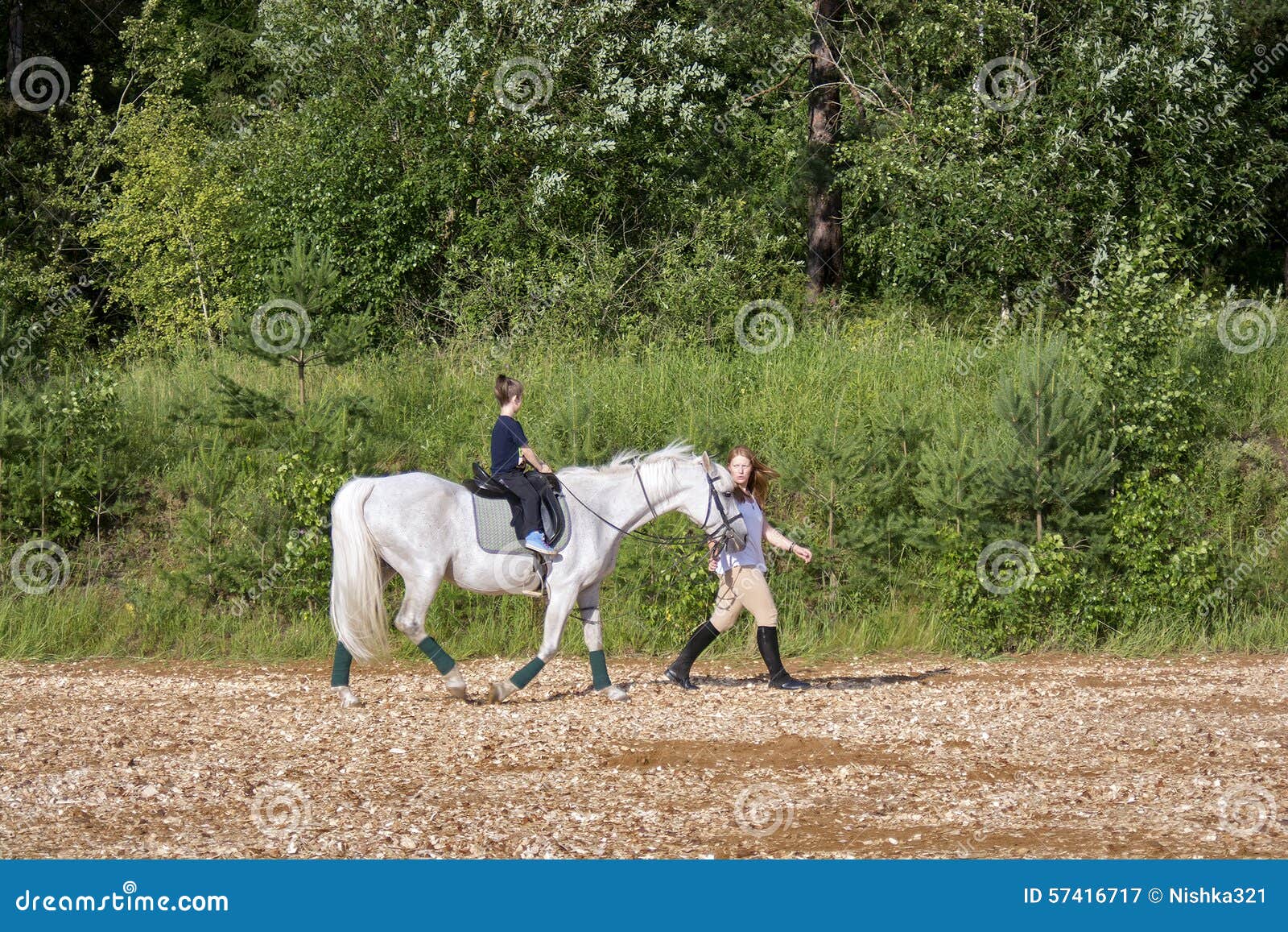 Horse and baby stock image. Image of muzzle, hobby, nature - 57416717