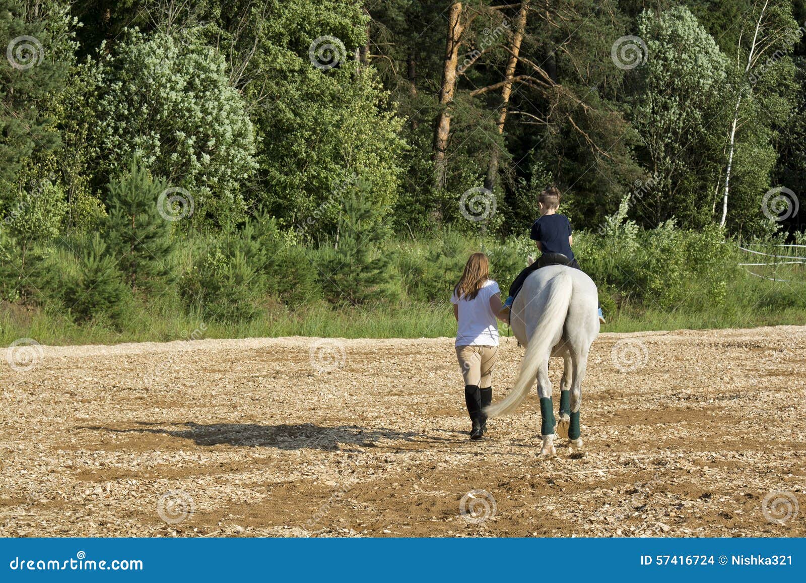Horse and baby stock photo. Image of mammal, cloud, activity - 57416724