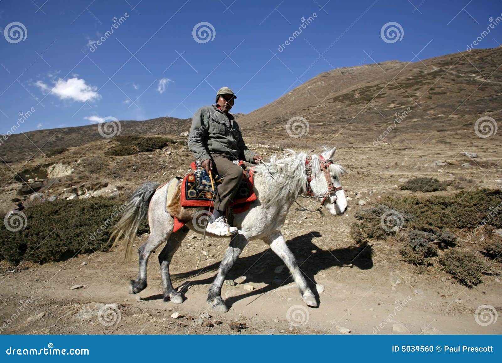 Horse Back Rider on Path, Annapurna Editorial Image - Image of race ...