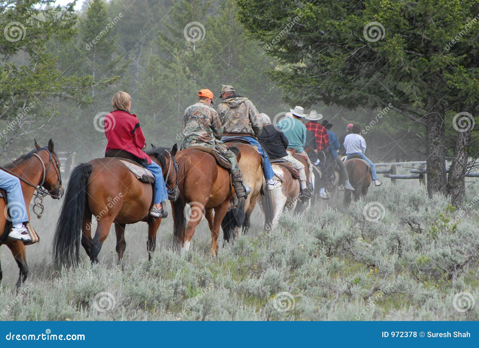 Horse back riding on trail stock photo. Image of people - 972378