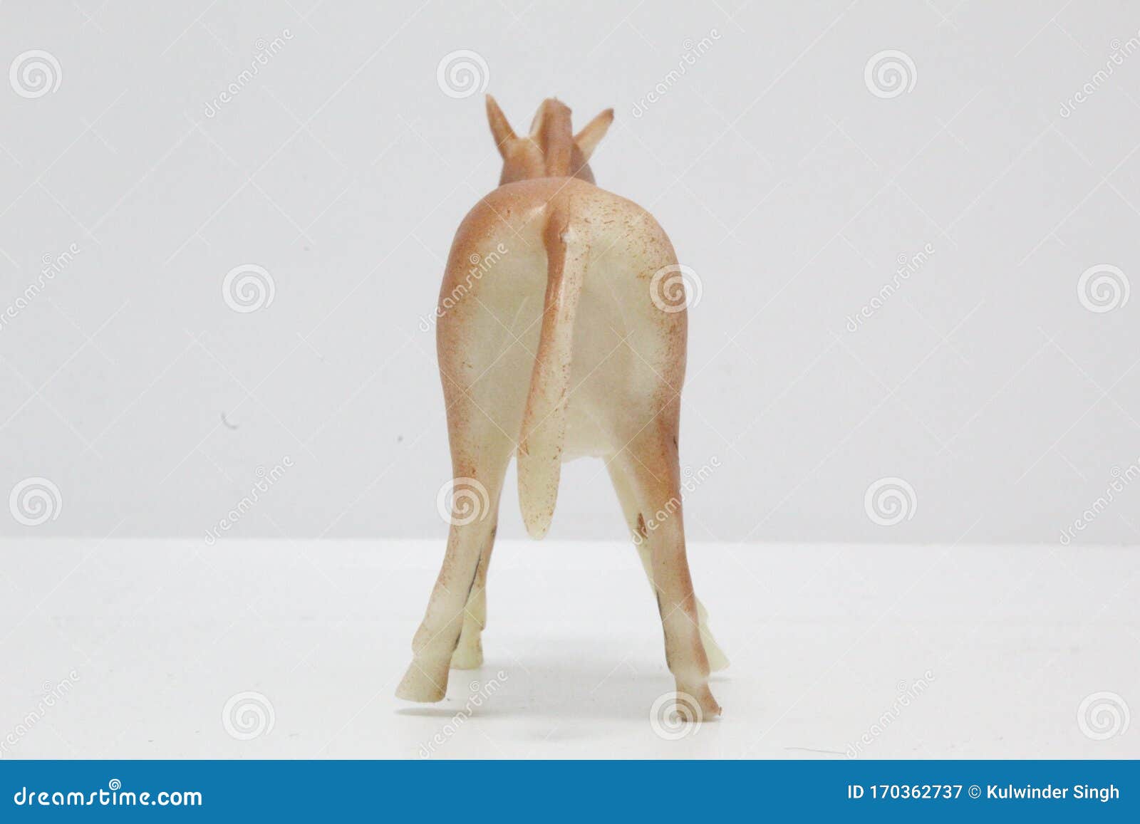 Horse Back View Very Clear Image Stock Image - Image of racehorse, race ...