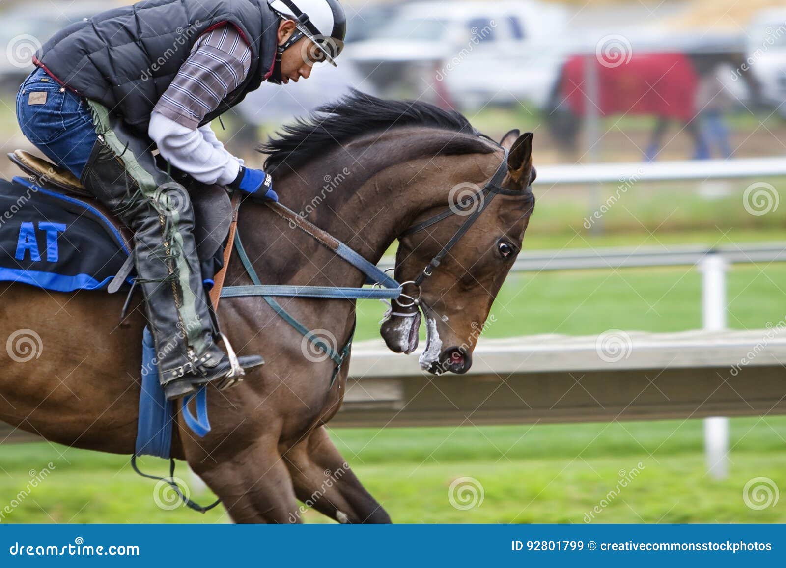 Horse Backriding Race Picture. Image: 92801799