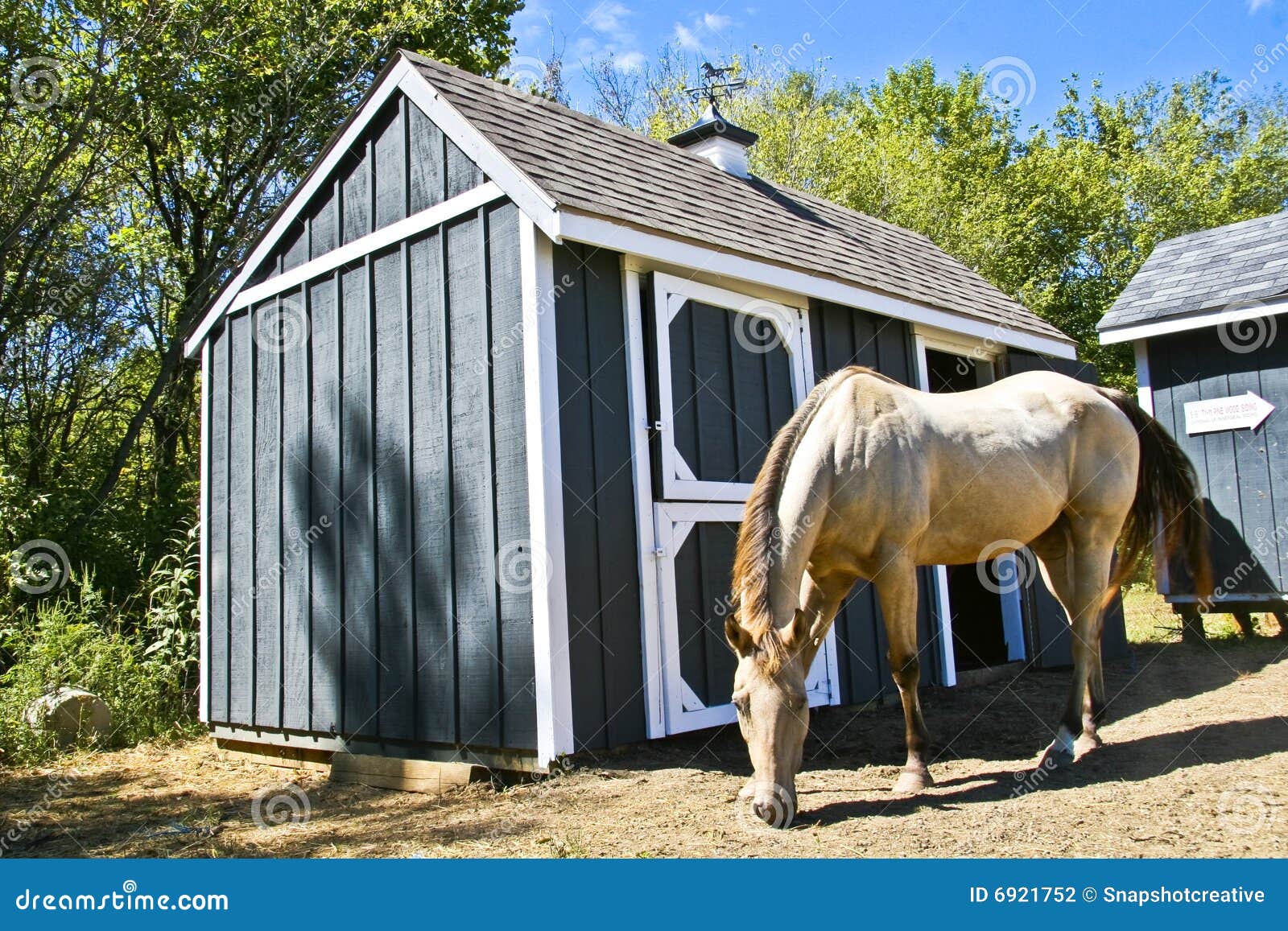 Horse barn stock photo. Image of corral, head, animals - 6921752