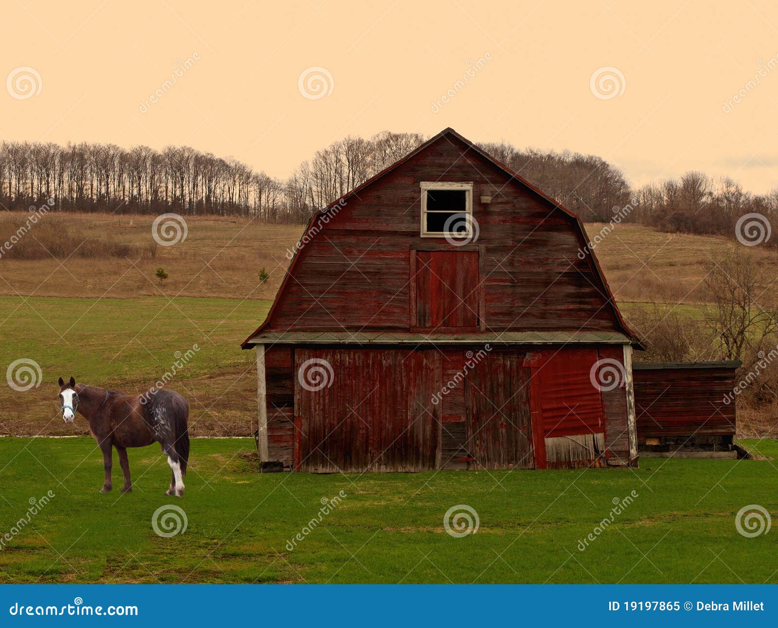 Horse and barn at sunrise stock image. Image of sunup - 19197865
