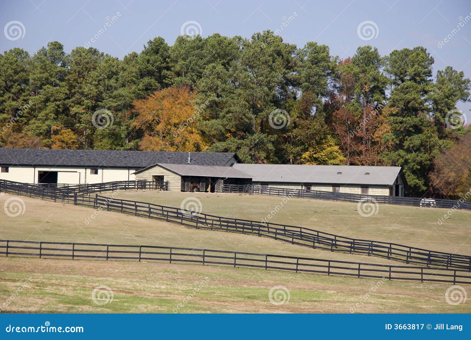 Horse Barns stock image. Image of gelding, fall, horseback - 3663817