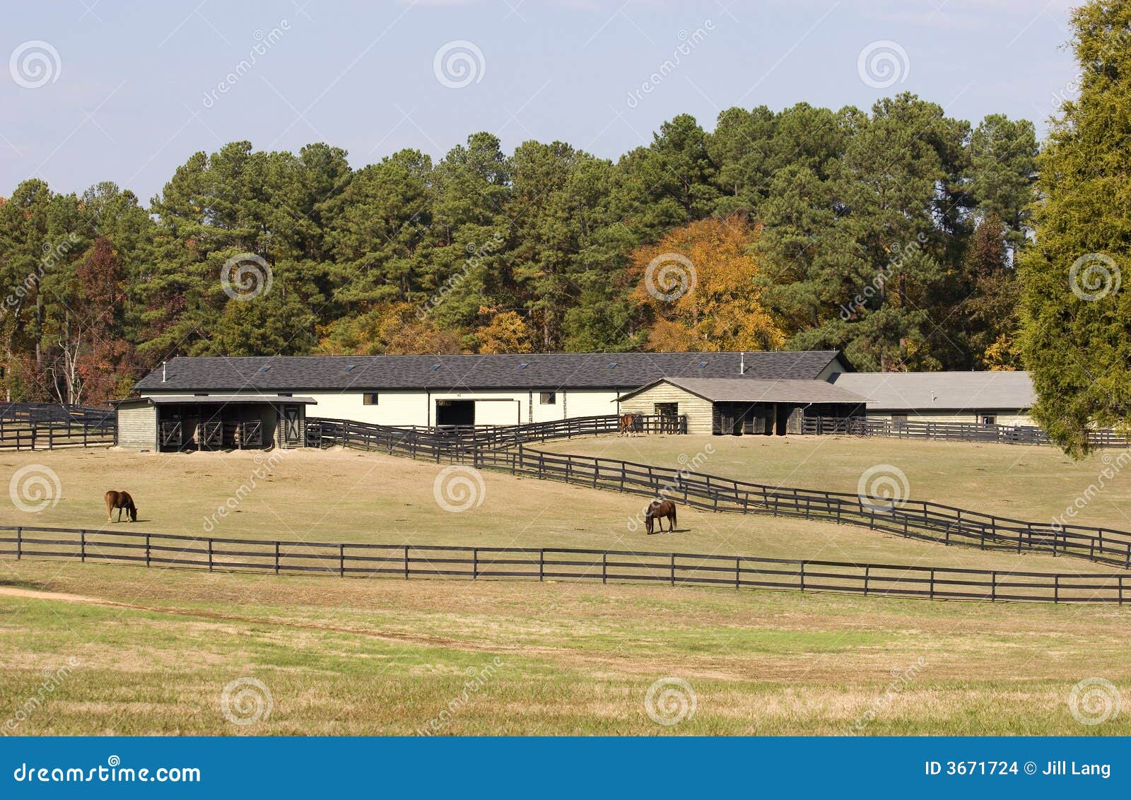 178 Horse Stable Barns Stock Photos - Free & Royalty-Free Stock Photos ...