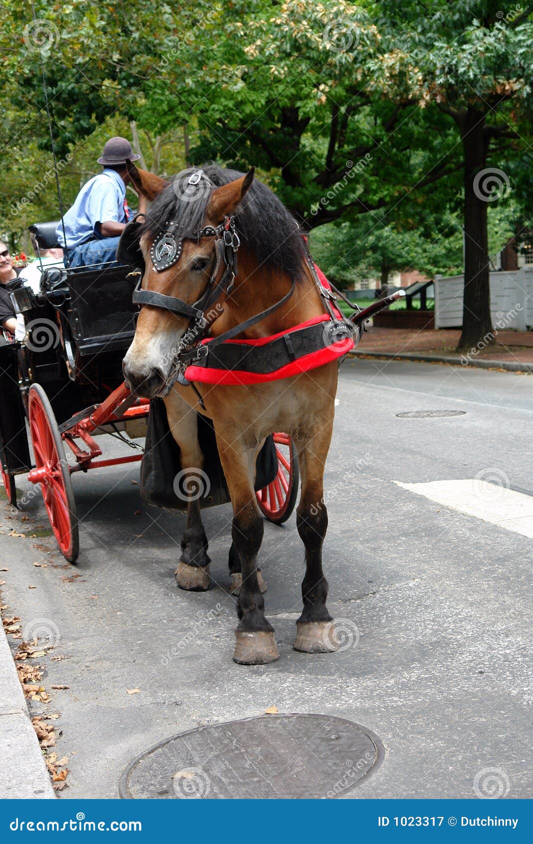 Horse & buggy stock image. Image of tourists, horse - 1023317