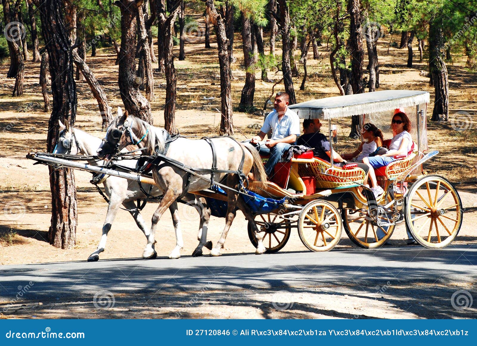 Horse carriage editorial photo. Image of comparison, captivity - 27120846