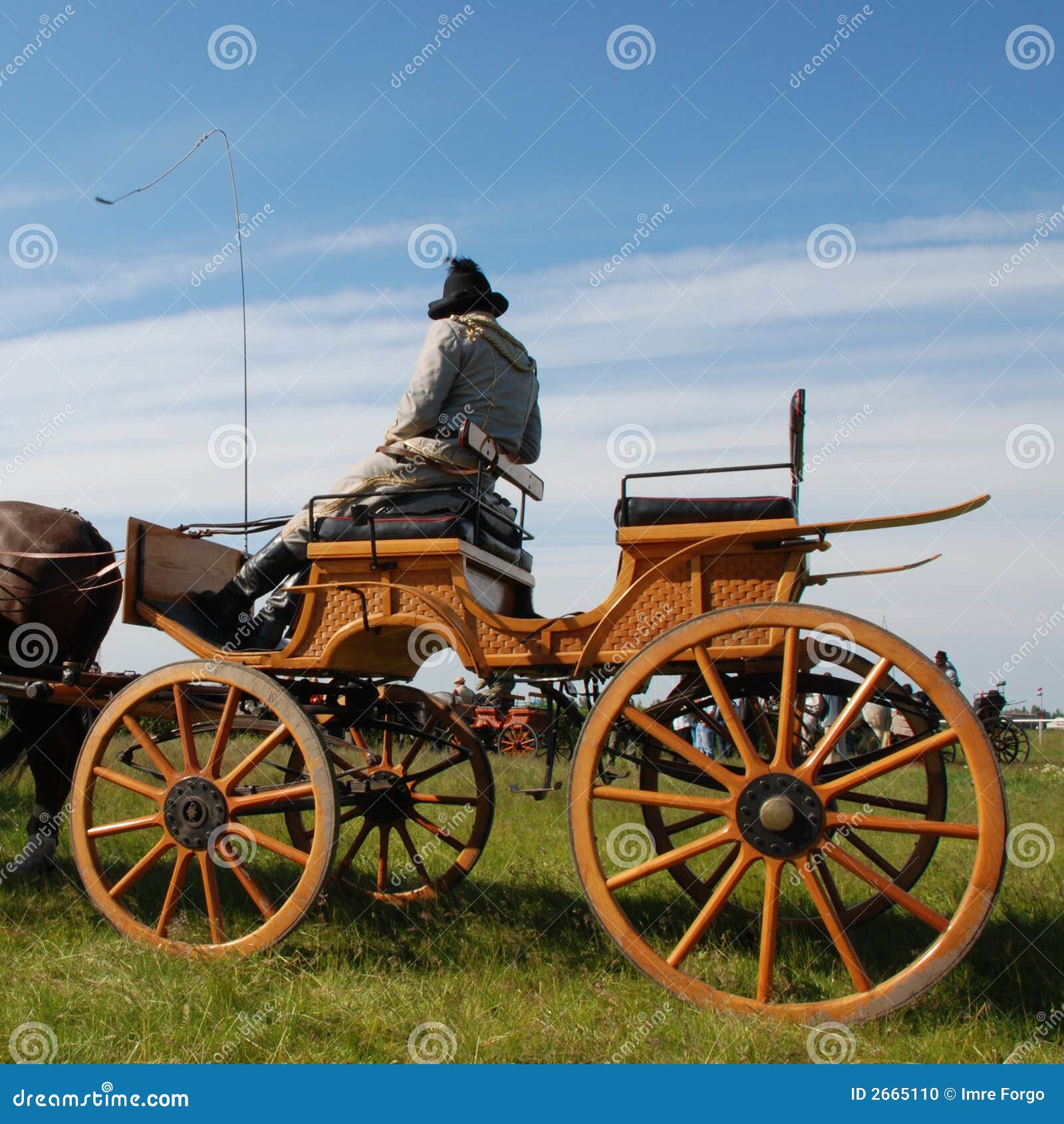 Horse carriage with driver stock photo. Image of classical - 2665110