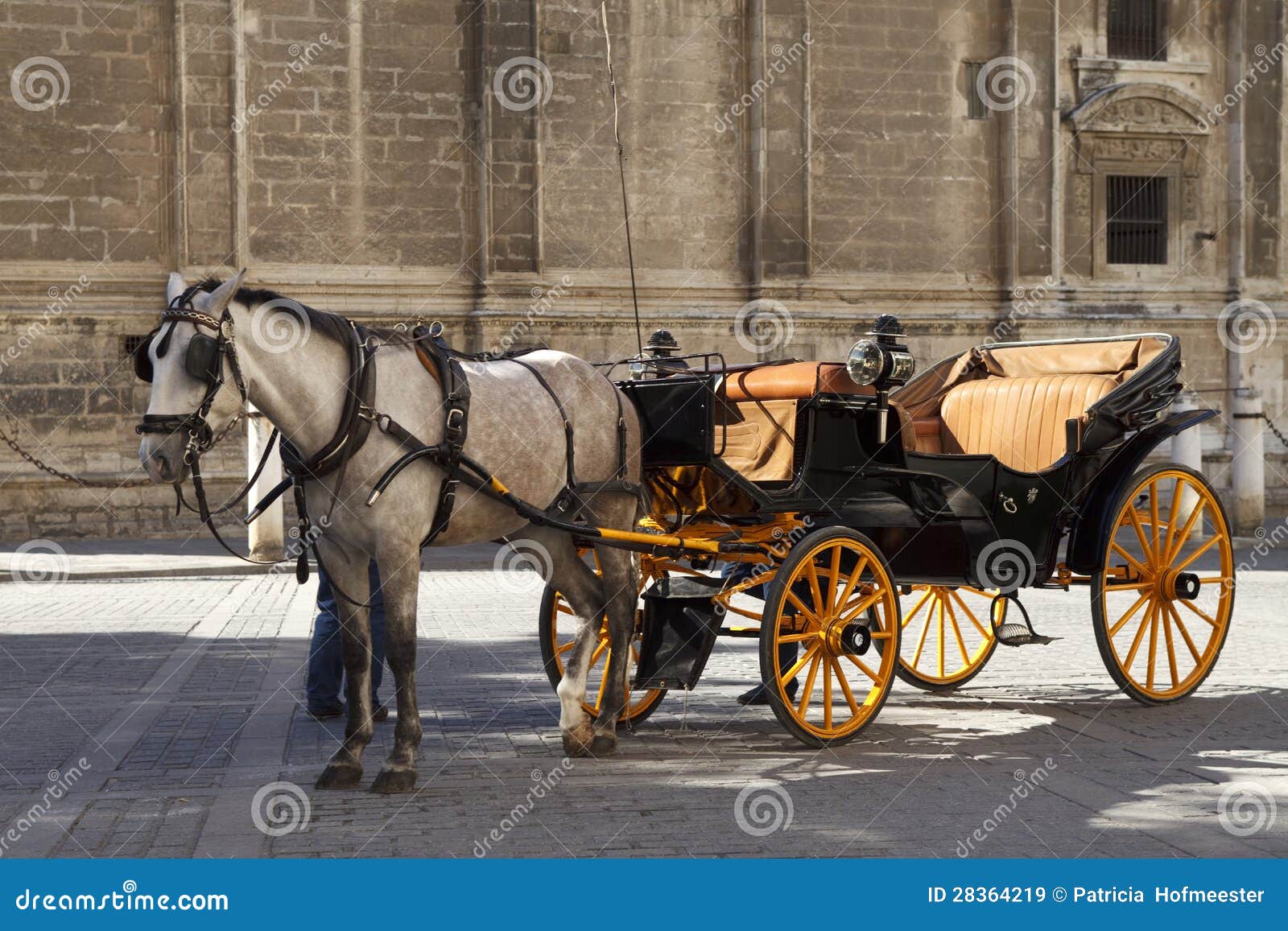 Horse carriage in Spain stock image. Image of tourism - 28364219