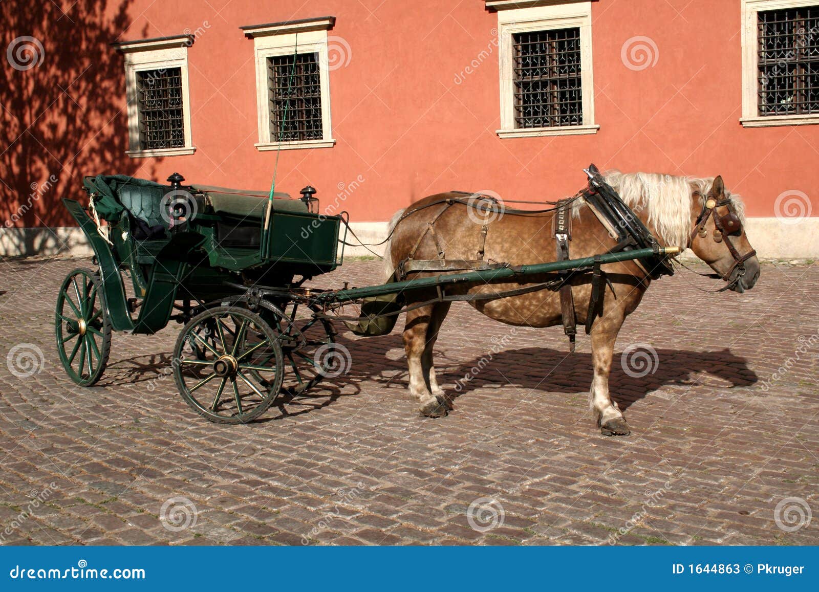 Horse and Cart stock image. Image of travel, wagon, outdoor - 1644863
