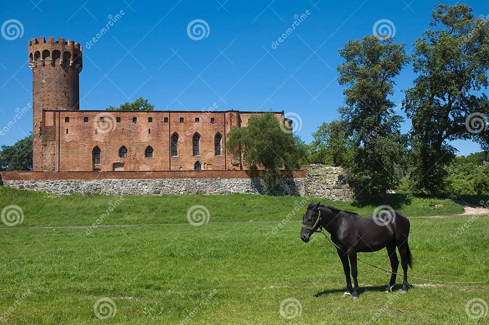 Horse with the Castle in the Background Stock Image - Image of history ...