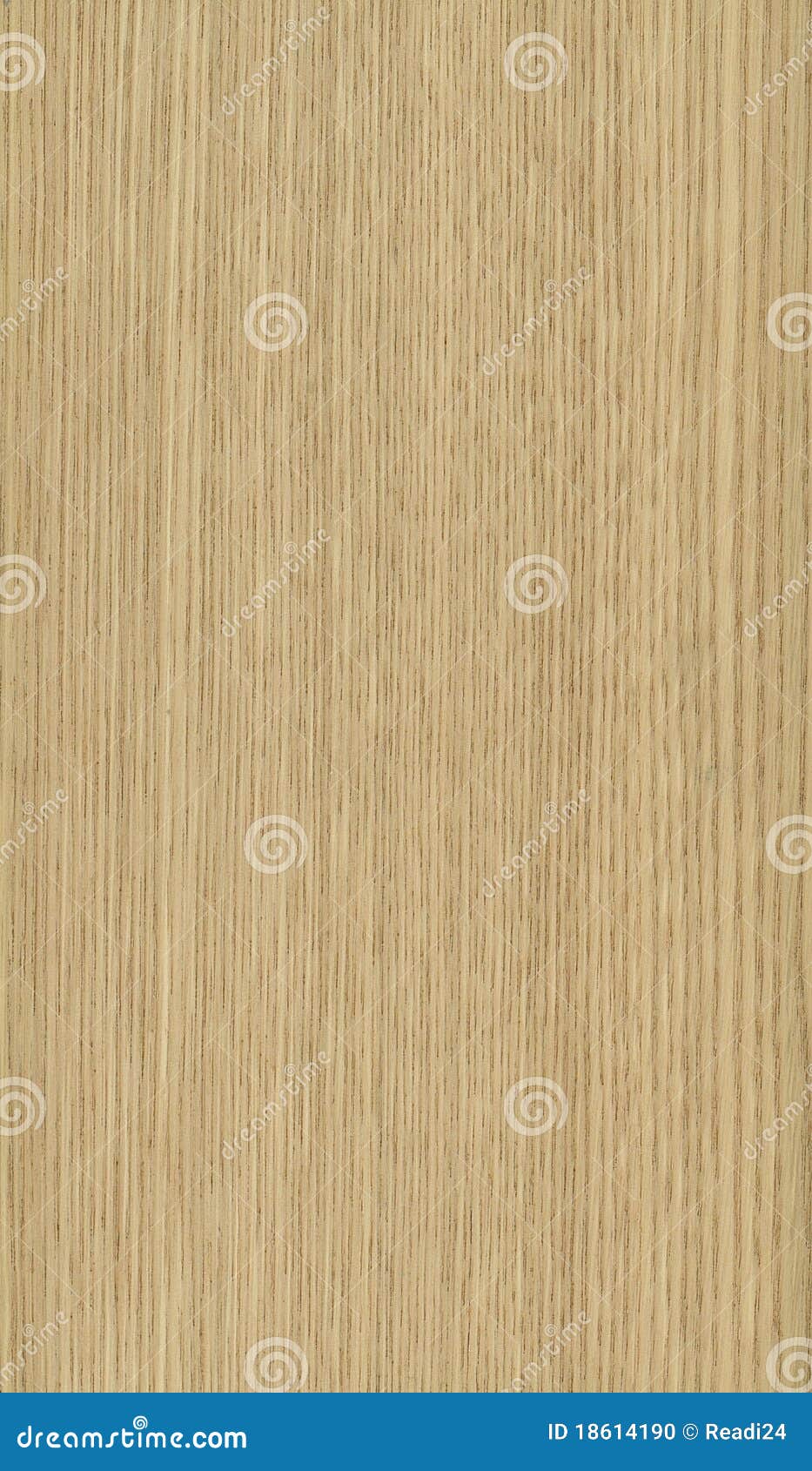Horse Chesnut Wood Veneer Texture Stock Photo - Image of interior ...