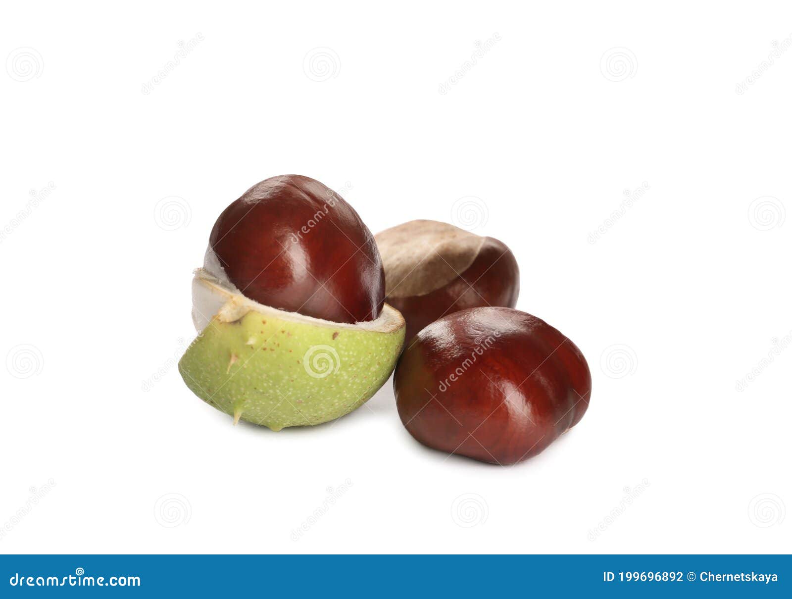 Horse Chestnuts with Pod Isolated on White Stock Photo - Image of ...