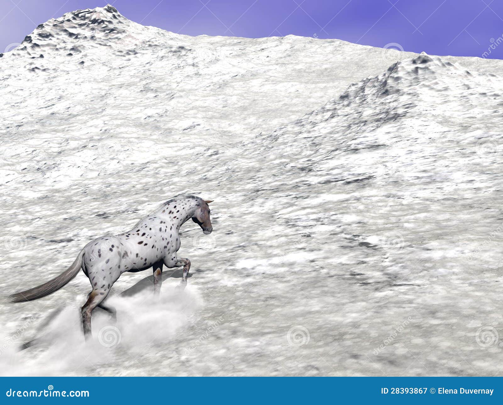 Leopard Appy Horse On A White Background. Royalty-Free Stock Photo ...