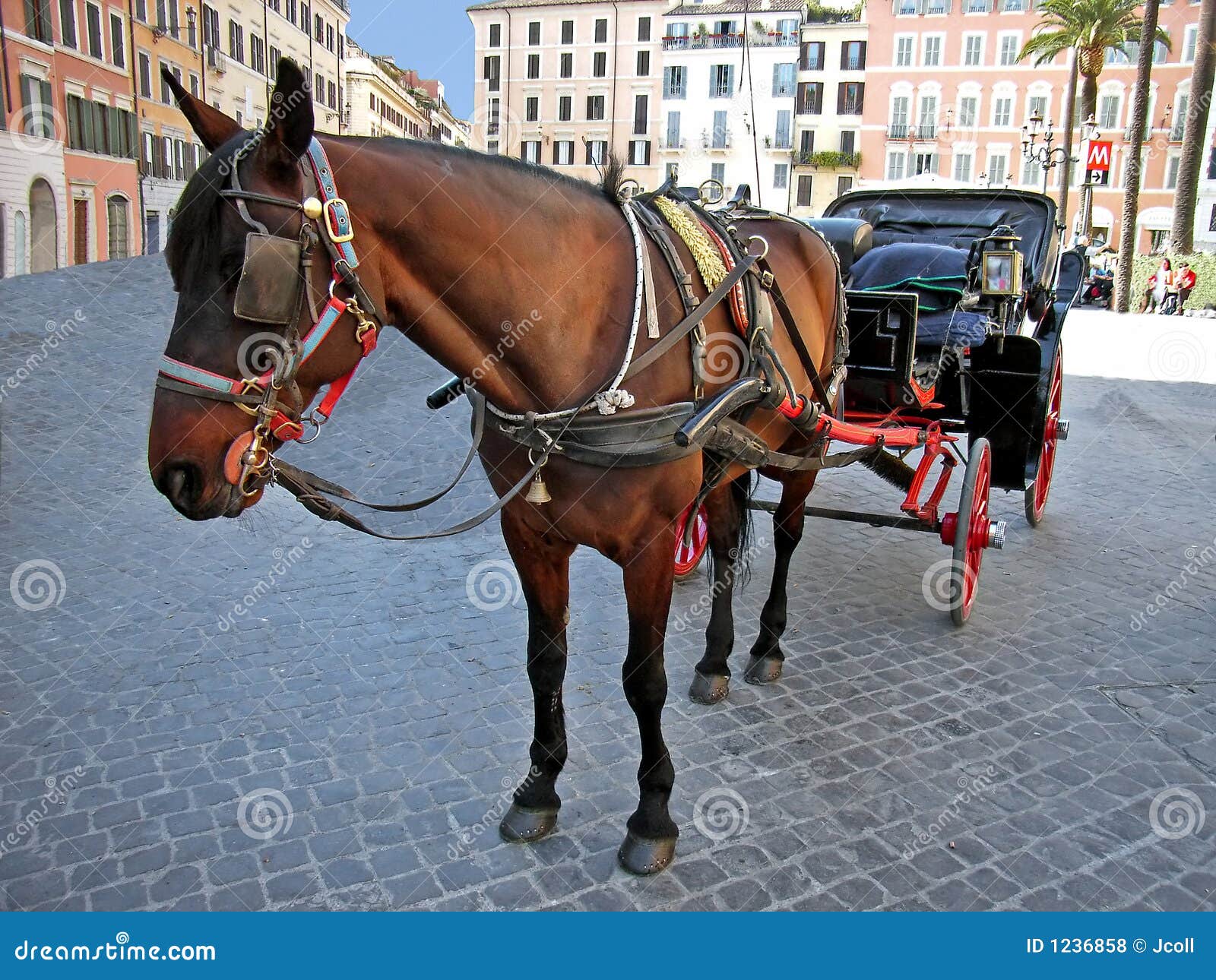 Horse coach in Rome stock photo. Image of stagecoach, italian - 1236858