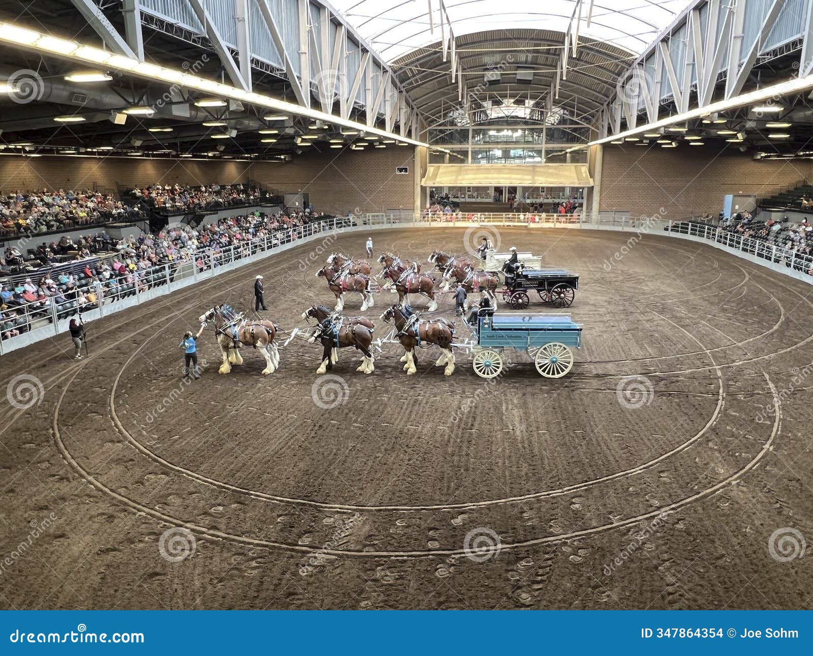 Horse Competition Iowa State Fair Editorial Stock Image - Image of ...