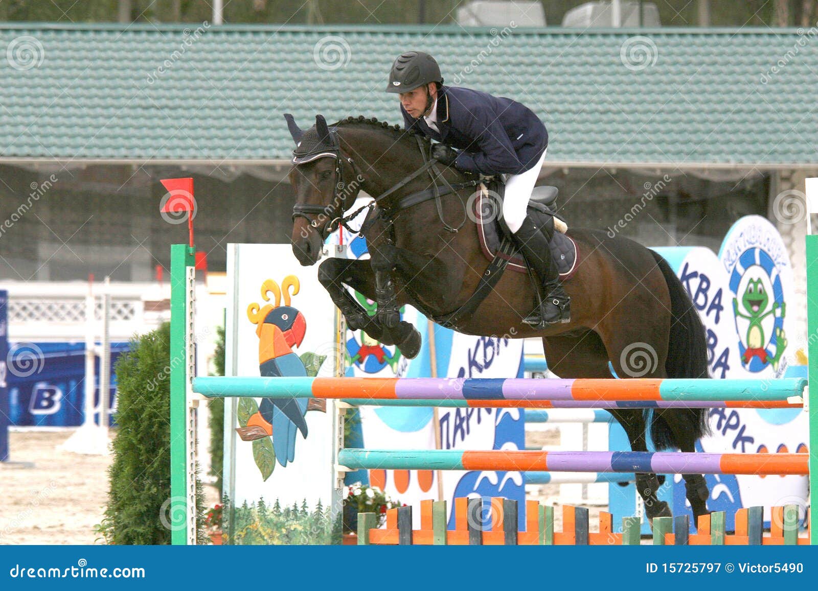 Horse competitions editorial photography. Image of competition - 15725797