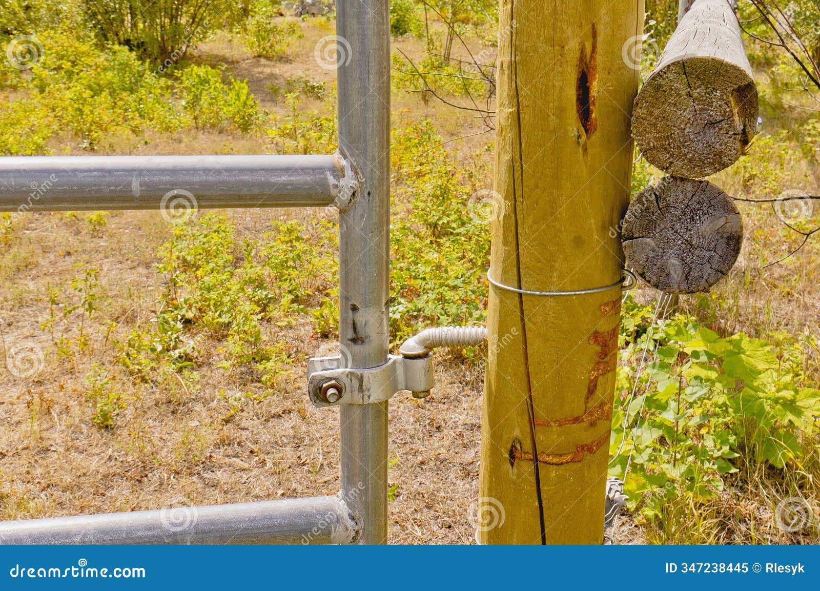 Horse corral gate hinge stock image. Image of wooden - 347238445
