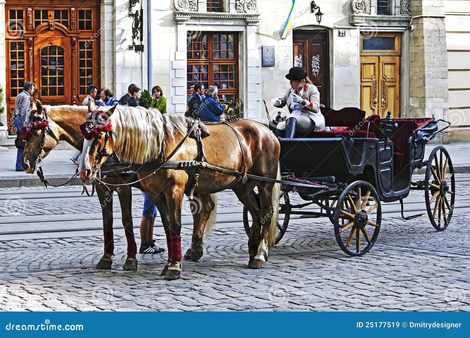 Horse drawn carriage editorial stock image. Image of wagon - 25177519