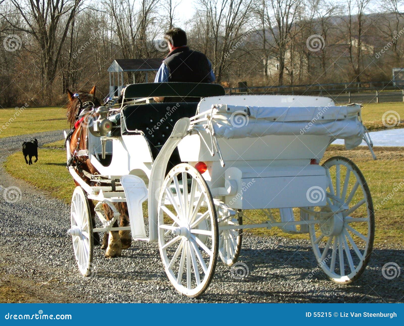 Horse Drawn Carriage stock image. Image of horse, vehicle - 55215