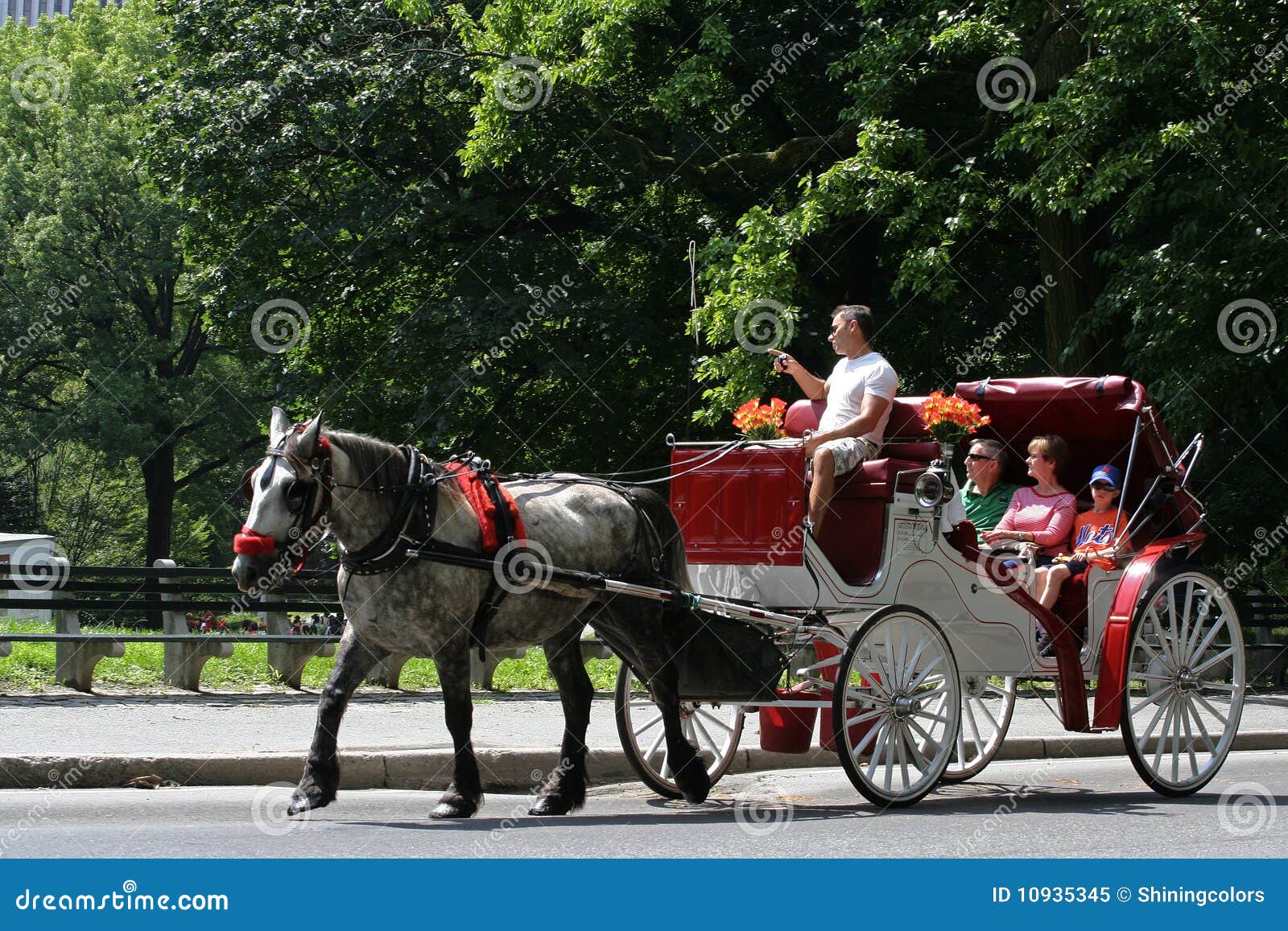 Horse-drawn Carriage Rides in Central Park Editorial Image - Image of ...