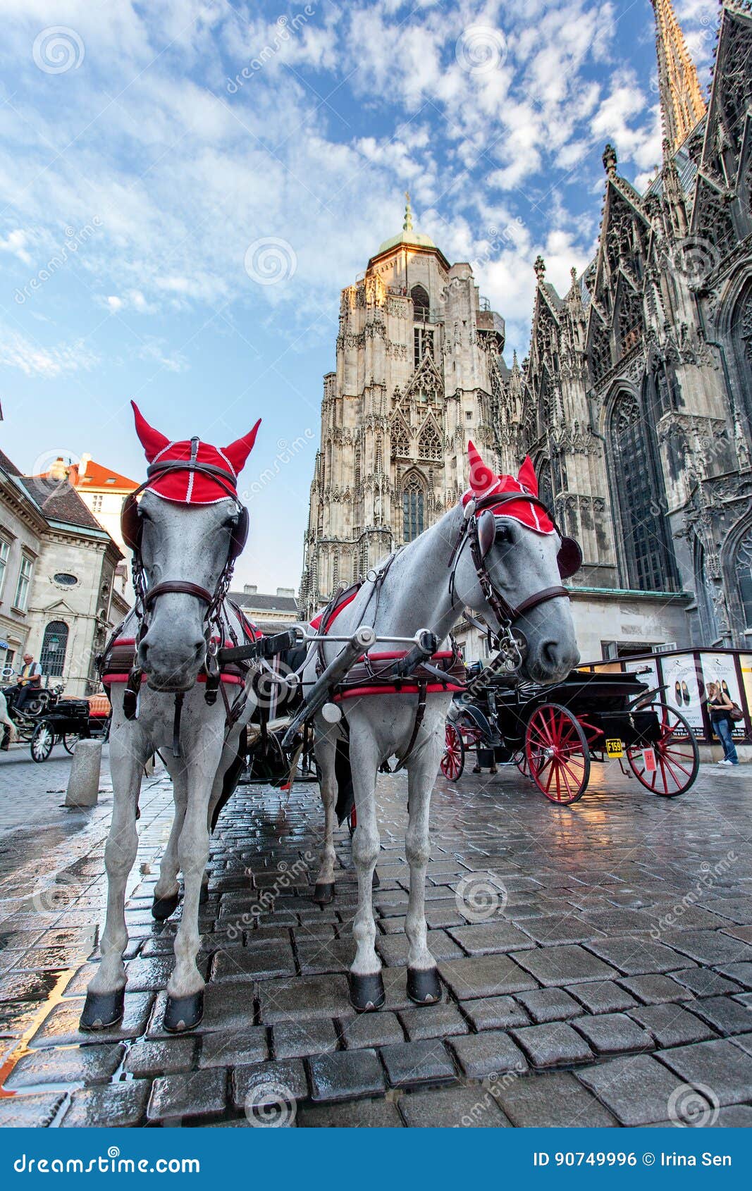 Horse-drawn Carriage - Vienna, Austria Editorial Photo - Image of sunny ...