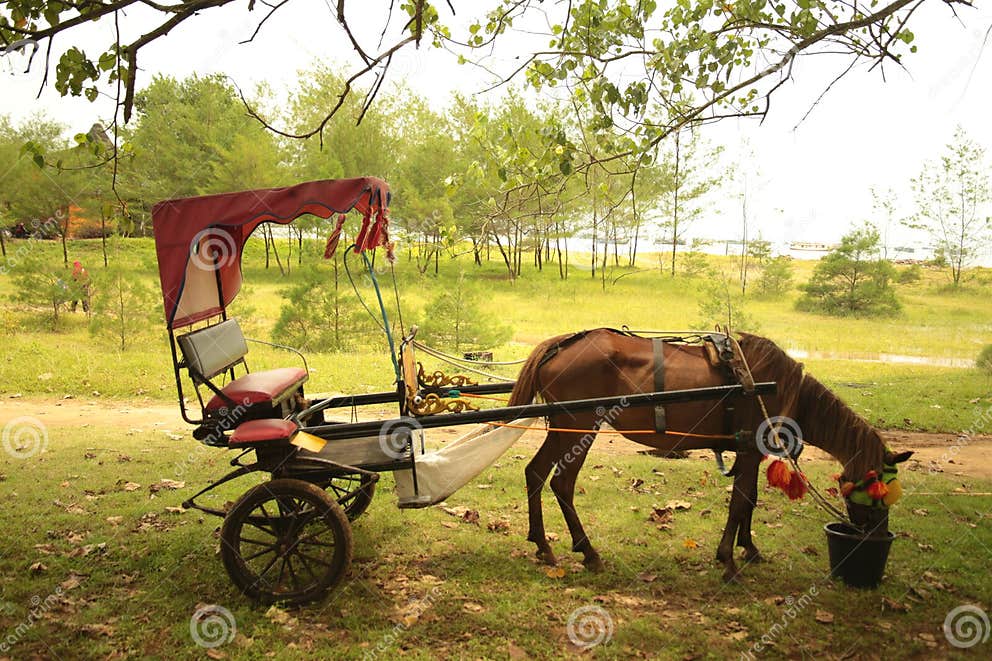 A Horse-Drawn Chariot in Teleng Resort, Pacitan Regency East Java Stock ...