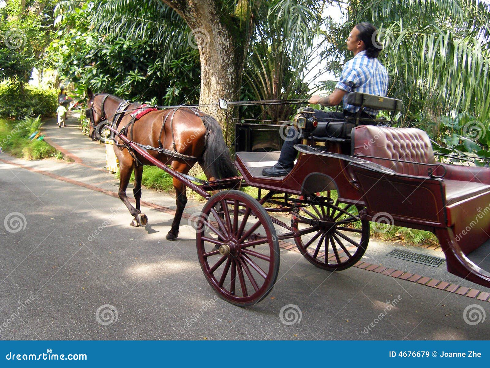 Horse drawn Open Carriage stock image. Image of handlers - 4676679